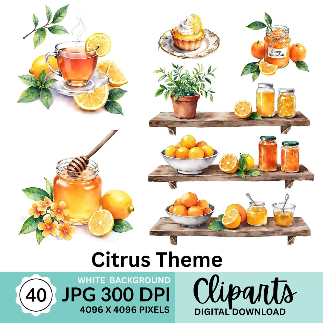 Watercolor Citrus Clipart | Lemon & Orange Illustrations (JPG Digital ...