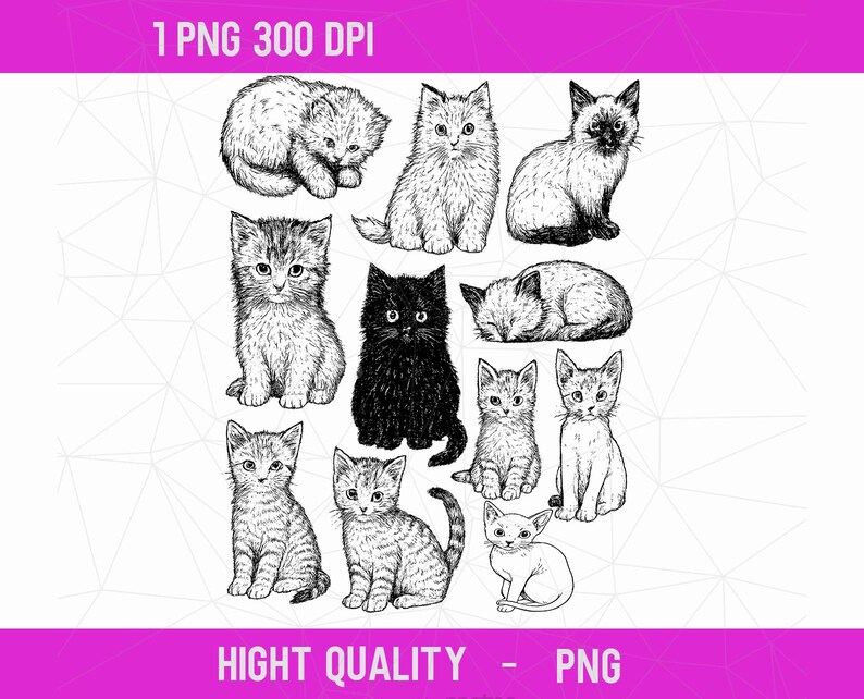 Cats 90s Vintage Tattoo Style Shirt Png, Retro Kitten Shirt Png, Cat ...
