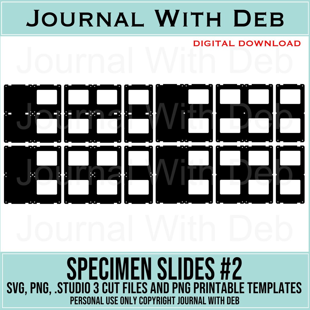 Specimen Slides #2 -SVG, PNG, Cut Files & Printable Templates- 3 Styles ...