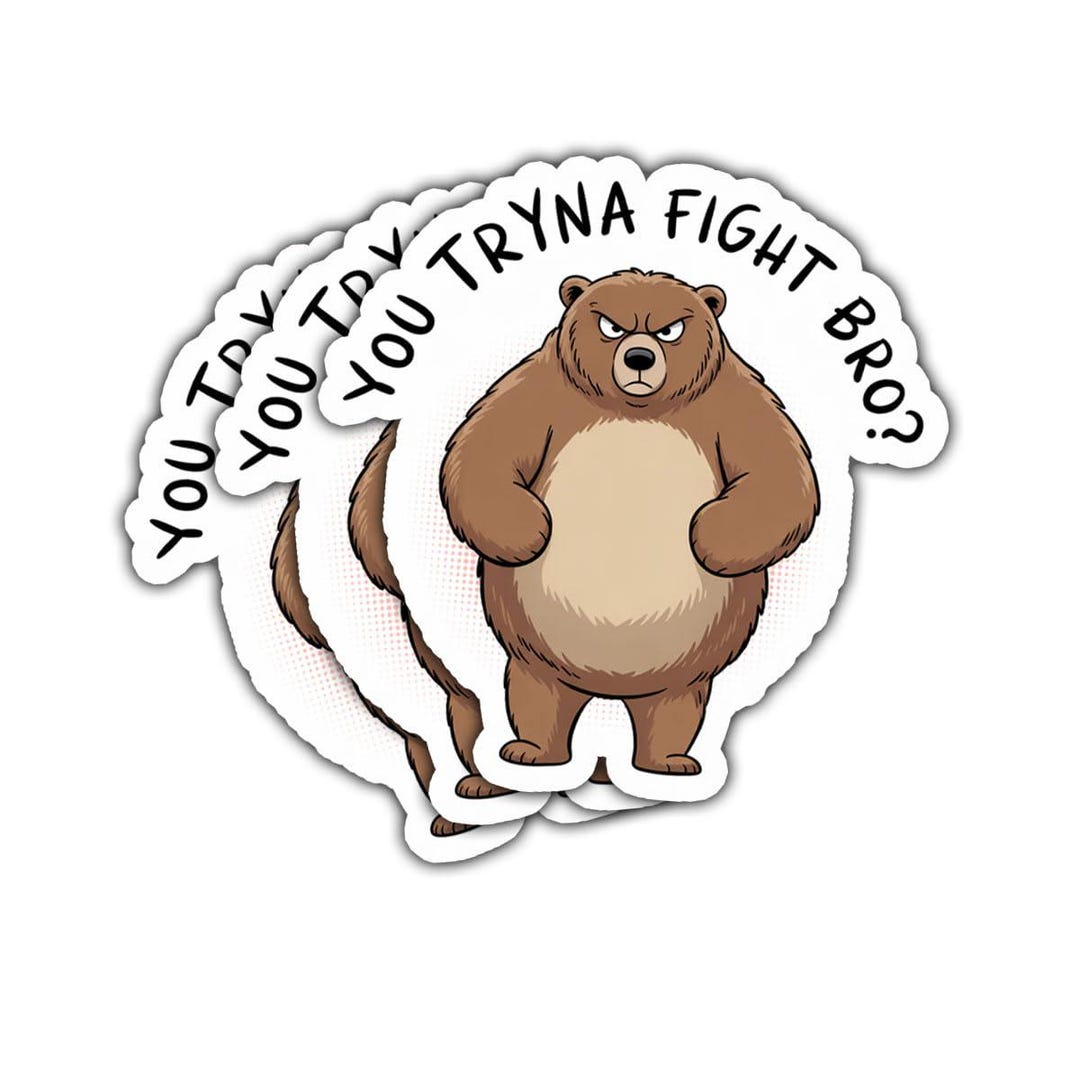 3pcs Cute Angry Bear Sticker You Tryna Fight Bro Sticker Funny ...