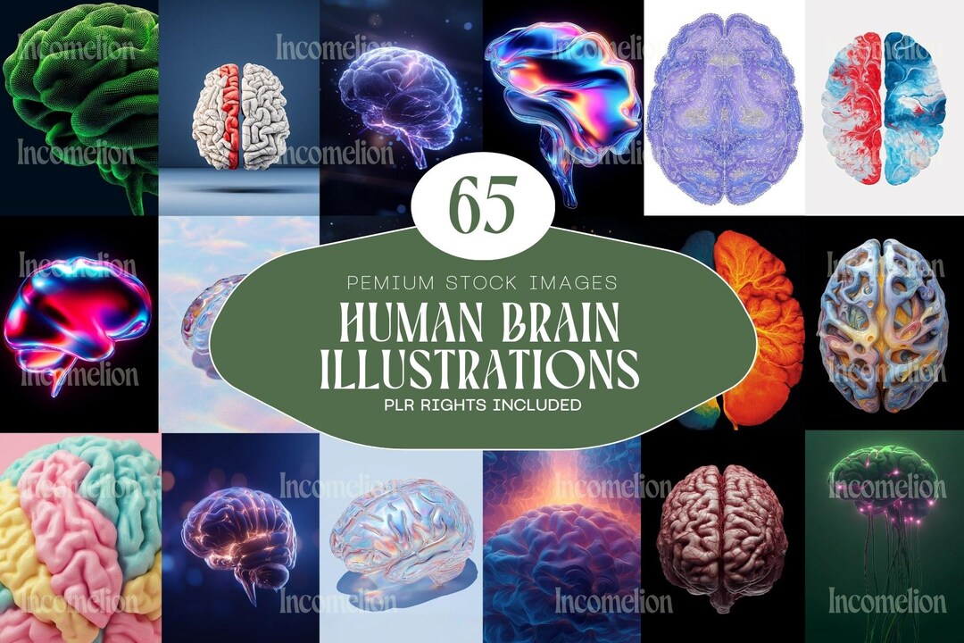 65 Artistic Human Brain Illustrations Anatomy Neuroscience & Creative ...