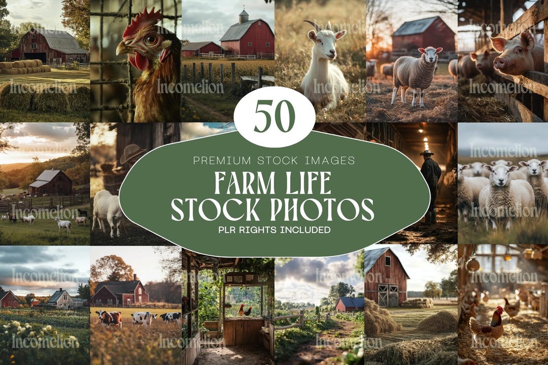 50 Farm Life Stock Photos for Branding, Marketing & Websites ...