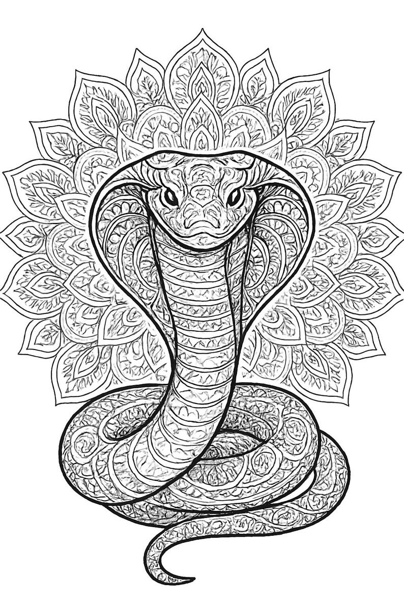 Mandala Coloring Pages | Kids Printable Coloring Book | Instant ...