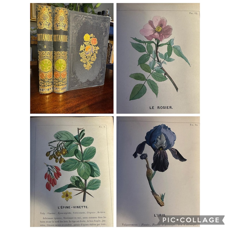 Plates Rare Antique - Etsy