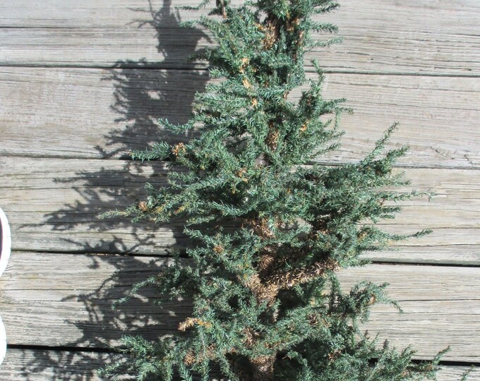 Artificial Tree Round Wood Block Base Stand Primitive Christmas Holiday ...