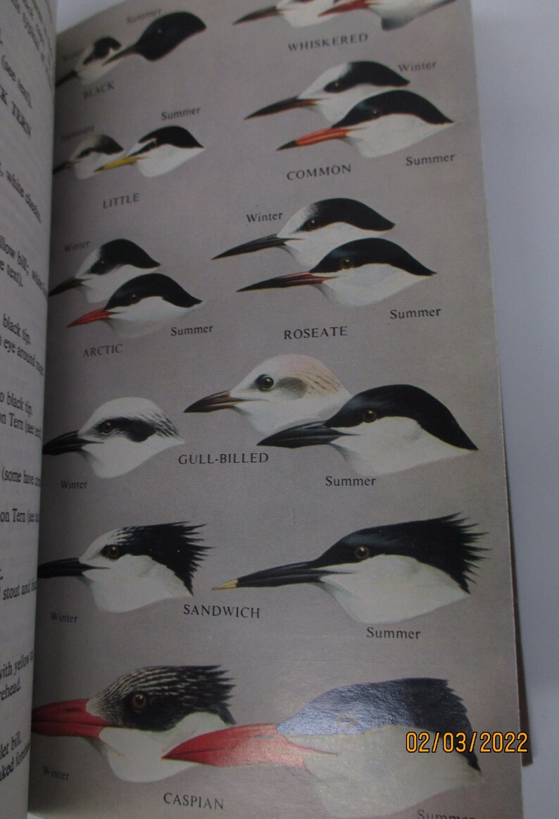 A Field Guide to the Birds of Britain & Europe Book Peterson - Etsy