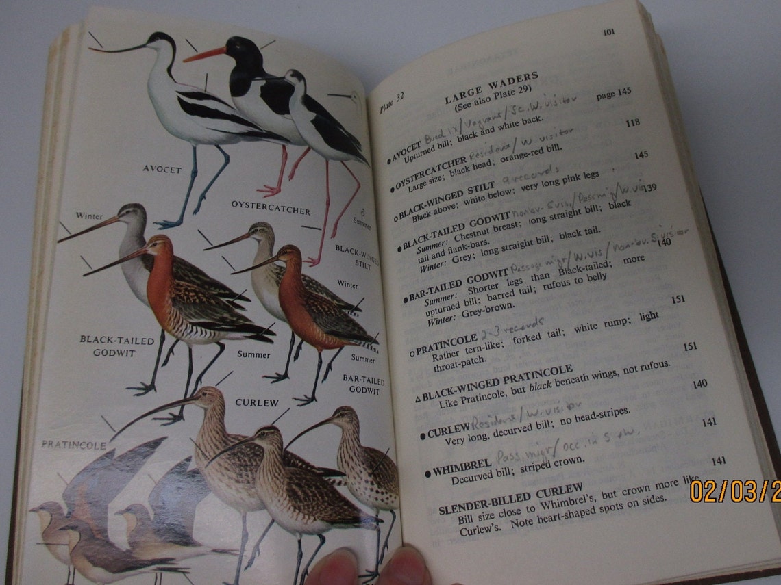 A Field Guide to the Birds of Britain & Europe Book Peterson - Etsy