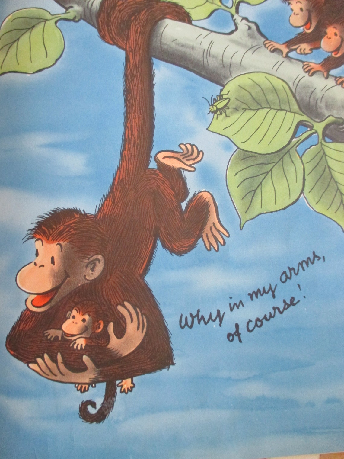 Katy No-pocket Emmy Payne H A Rey Mother Kangaroo Childrens | Etsy