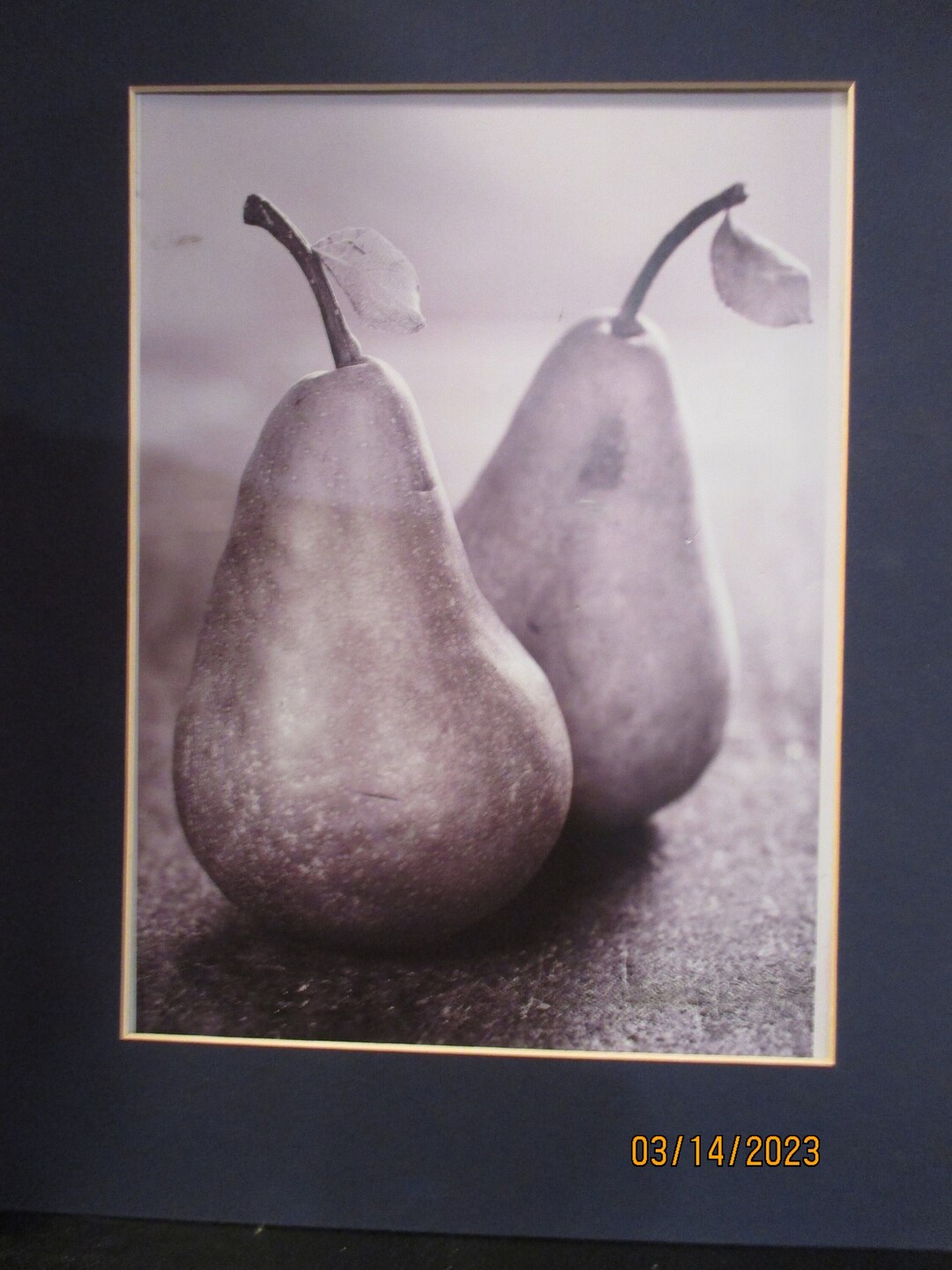 Pear Print Large Vintage Pears Food Photo Photograph Photography Black ...