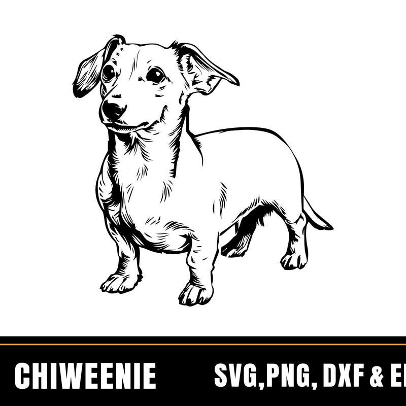 Chiweenie Decal - Etsy