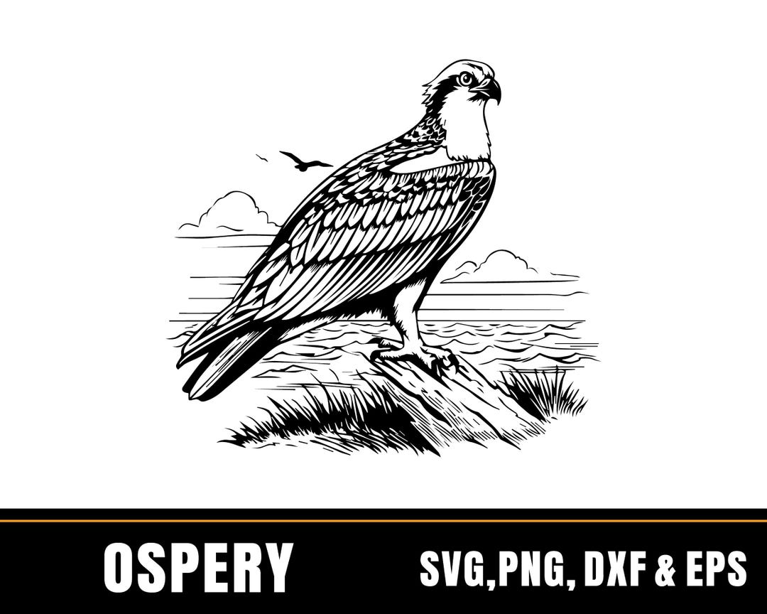 Osprey Silhouette SVG PNG DXF Eps, Bird of Prey Clipart, Cricut Cut ...