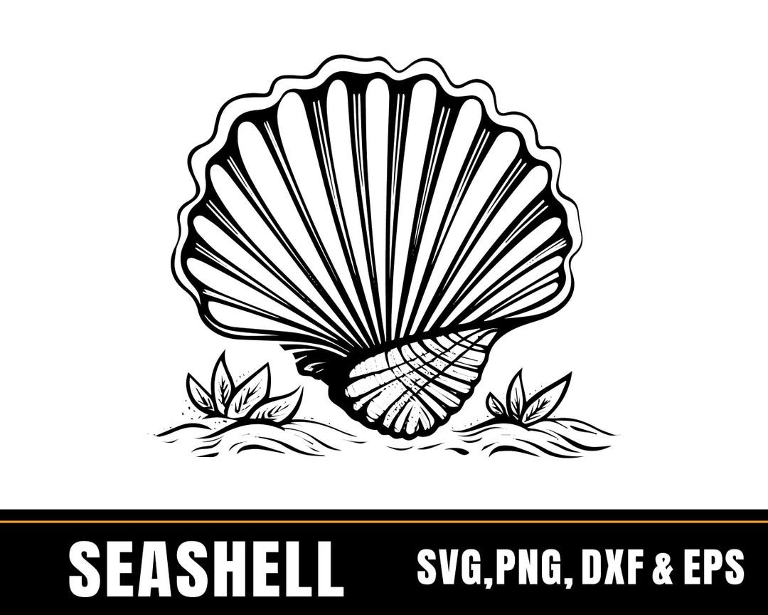 Seashell Silhouette Vector Clipart | Cricut Cut File (SVG PNG DXF Eps ...