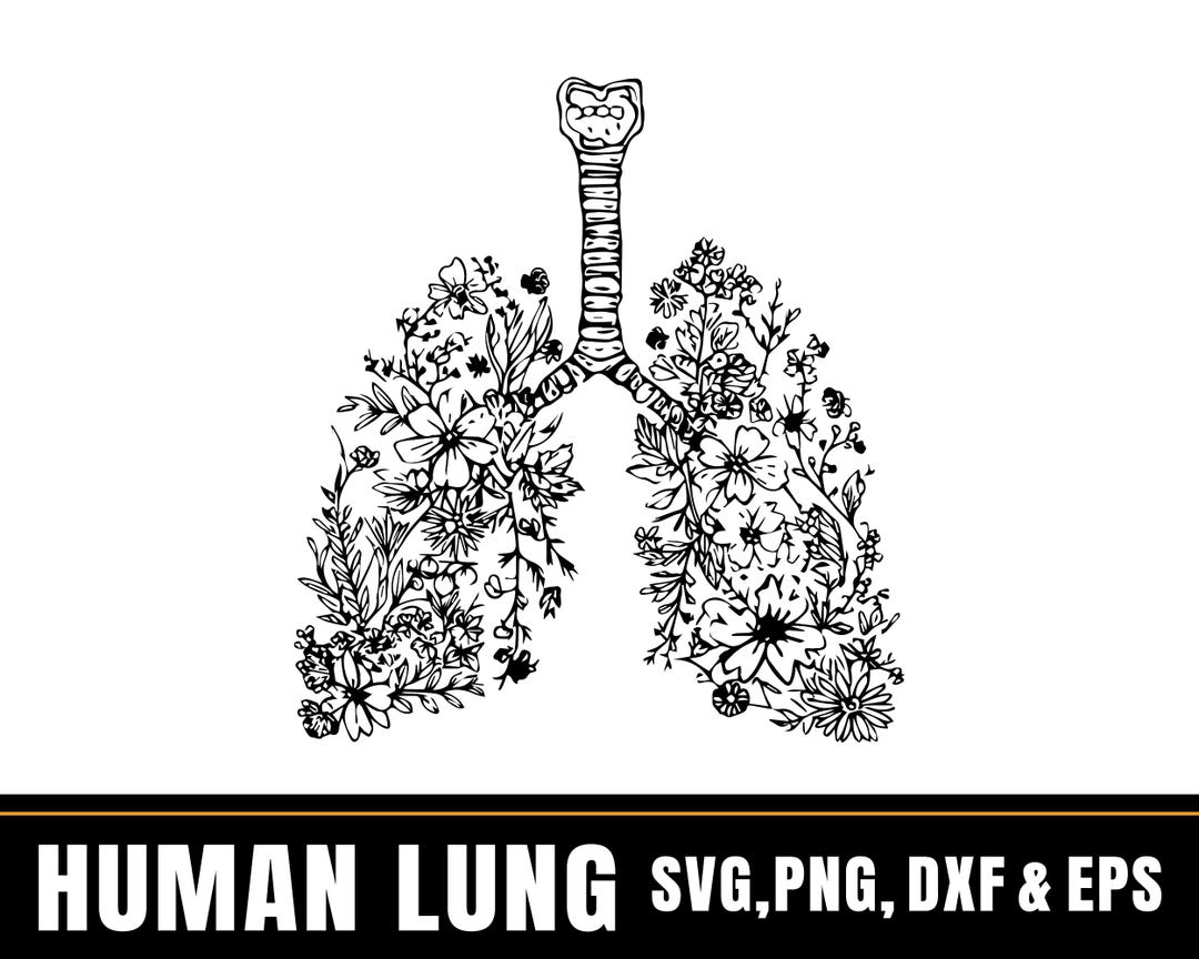 Human Lung Silhouette SVG PNG DXF Eps, Anatomy Clipart Vector, Cricut ...