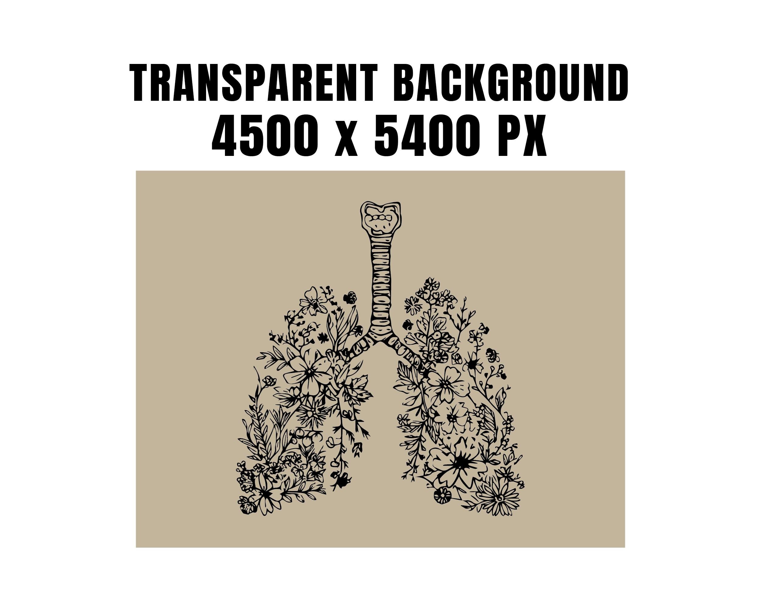 Human Lung Silhouette SVG PNG DXF Eps, Anatomy Clipart Vector, Cricut ...