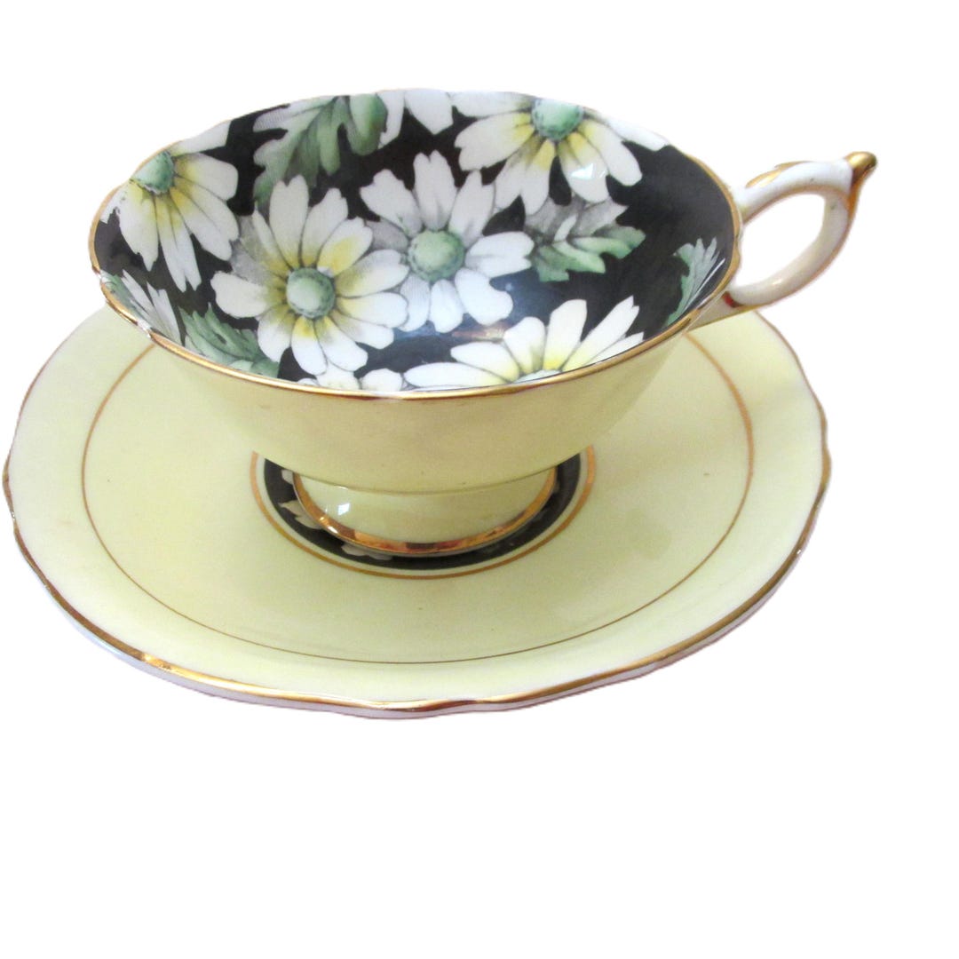 Paragon Daisy Teacup & Saucer Set, Floral Hand Painted, Made in England ...