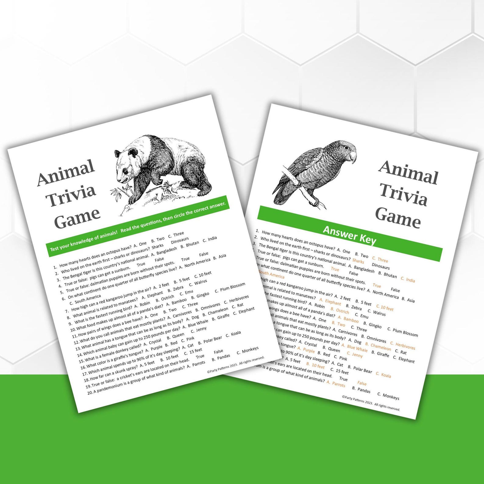 Animal Trivia Game for Kids and Adults - Etsy