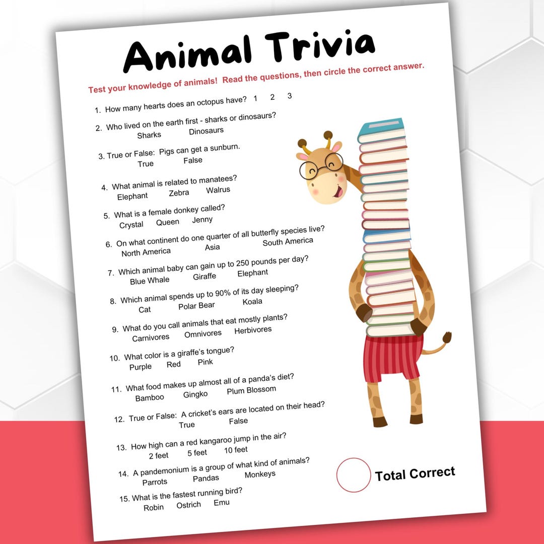 Animal Trivia Game - Etsy