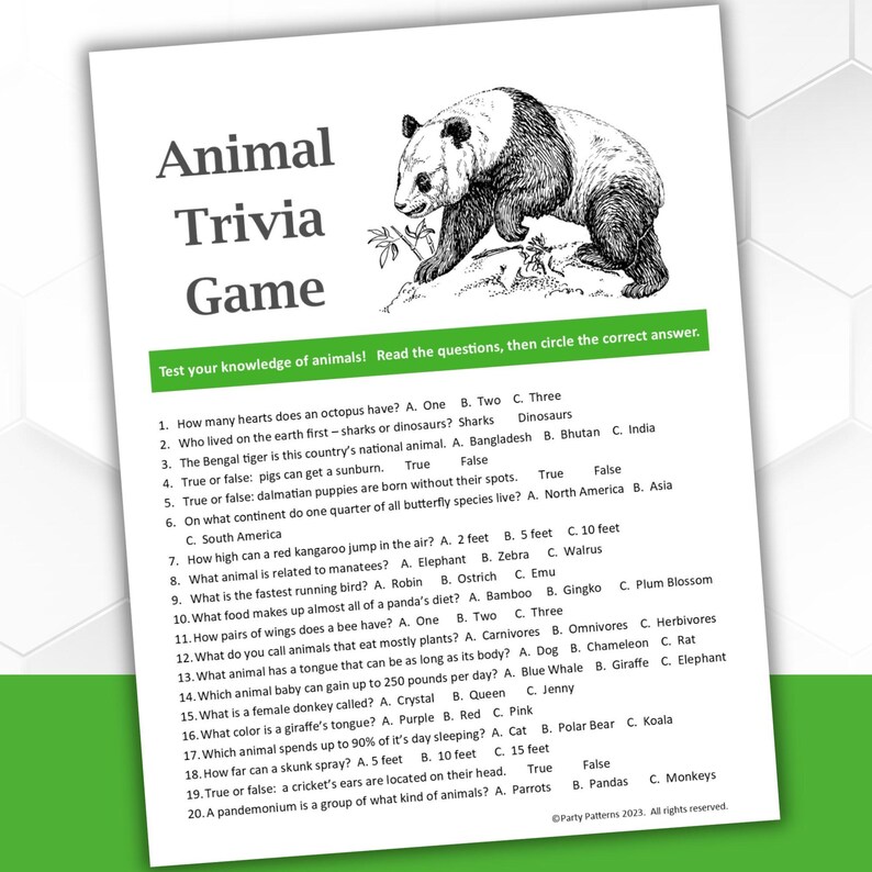Animal Trivia Game for Kids and Adults - Etsy