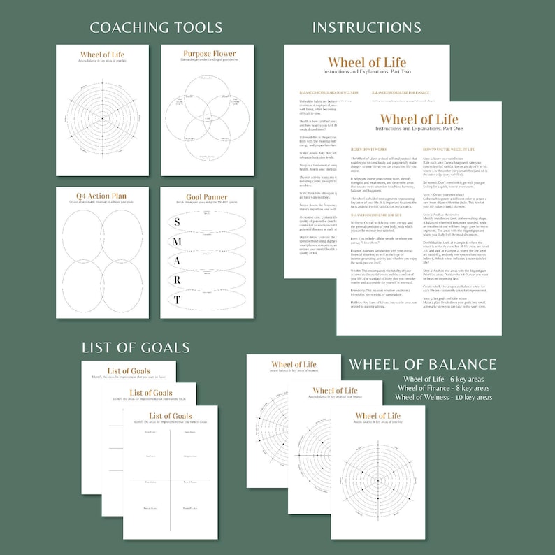 Wheel of Life Pdf Wheel of Life Template Coaching Tools Pdf Ikigai Pdf ...
