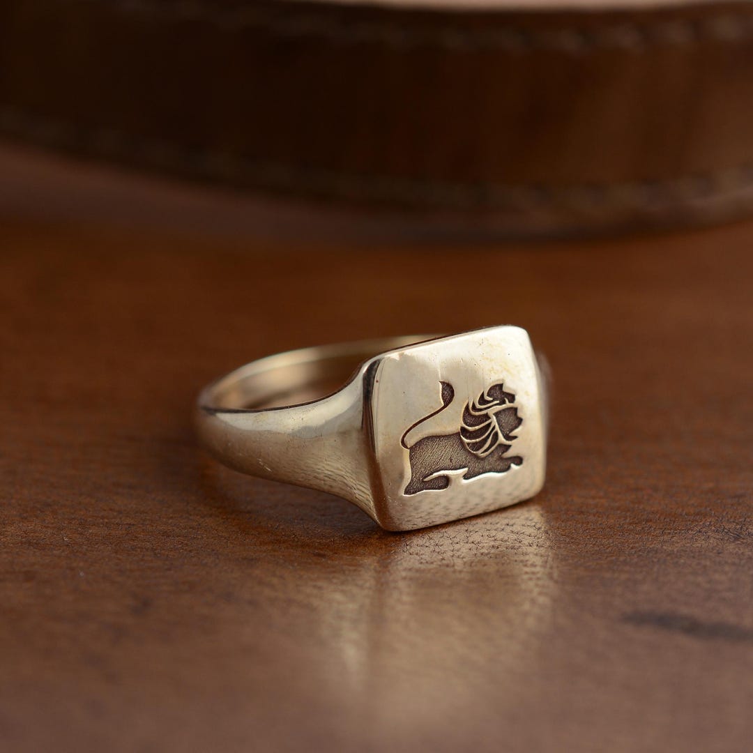 Brass Leo Zodiac Signet Ring - Astrology Gift - Etsy