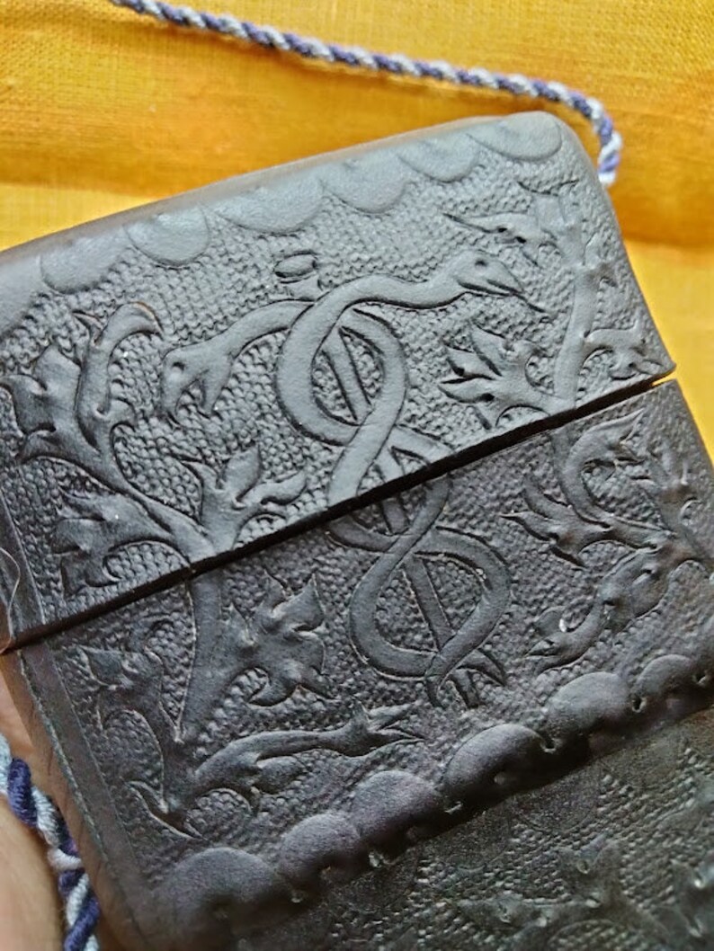 Dragon and Snakes Medieval Medical Case - Etsy