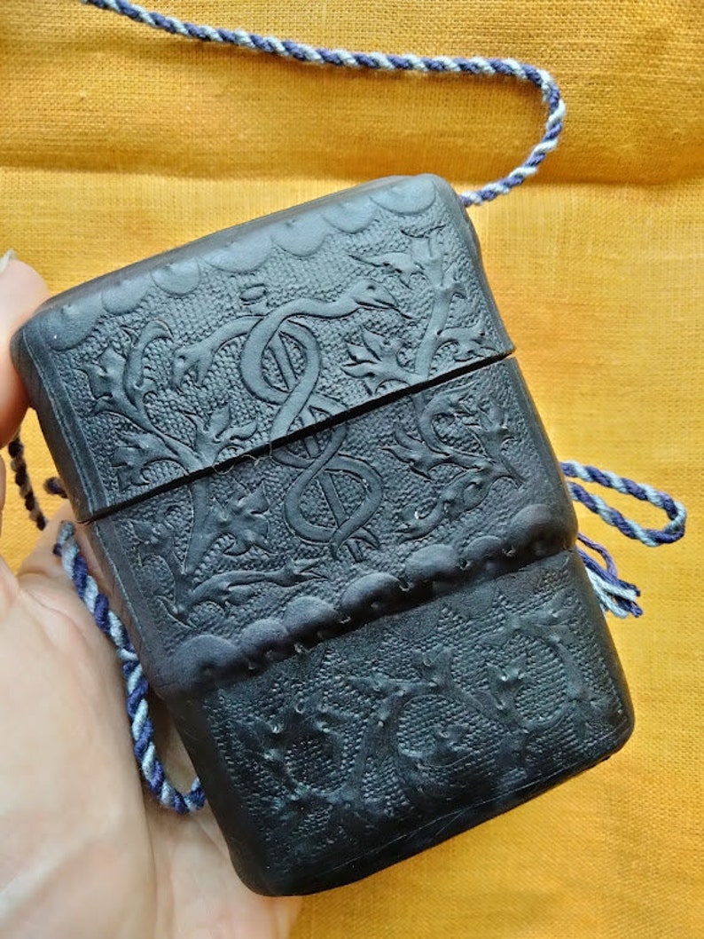 Dragon and Snakes Medieval Medical Case - Etsy