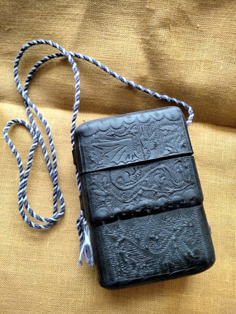 Dragon and Snakes Medieval Medical Case - Etsy