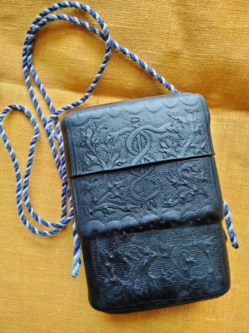 Dragon and Snakes Medieval Medical Case - Etsy