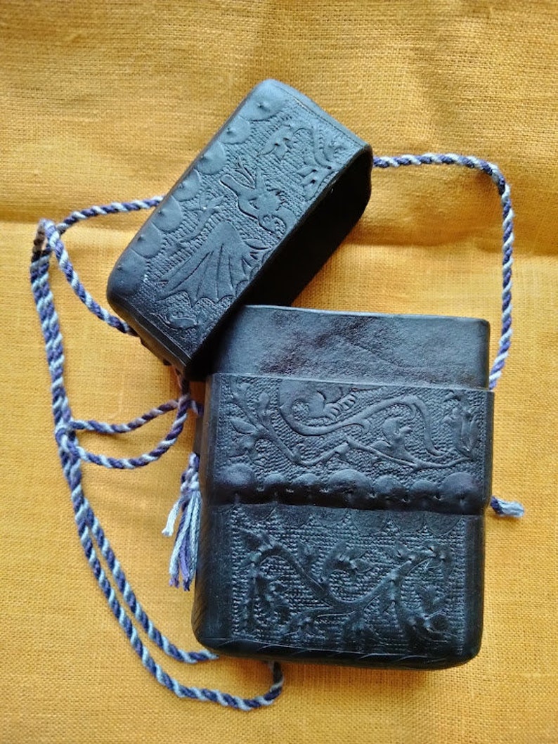 Dragon and Snakes Medieval Medical Case - Etsy