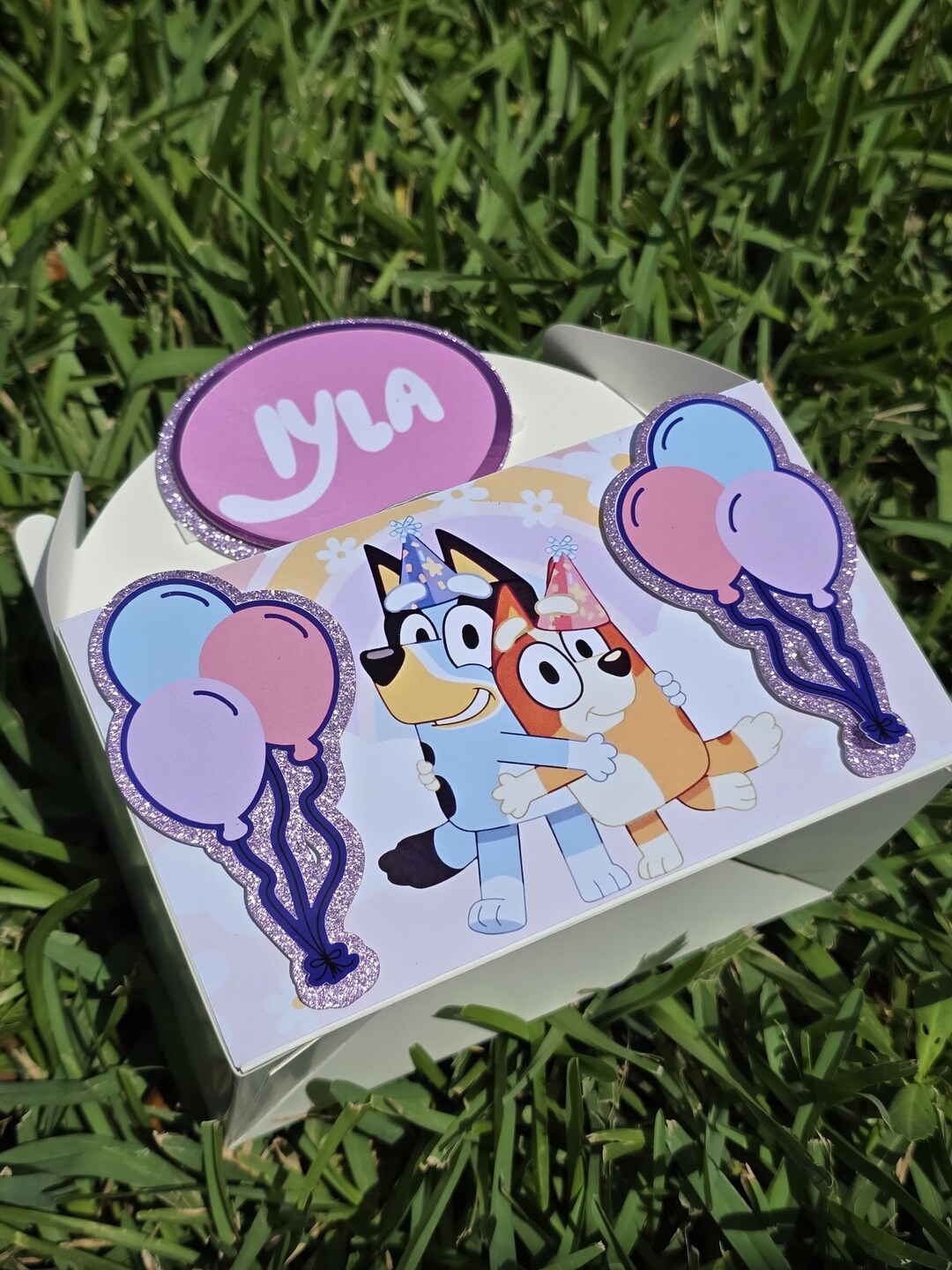 Bluey Goodie Boxes - Etsy