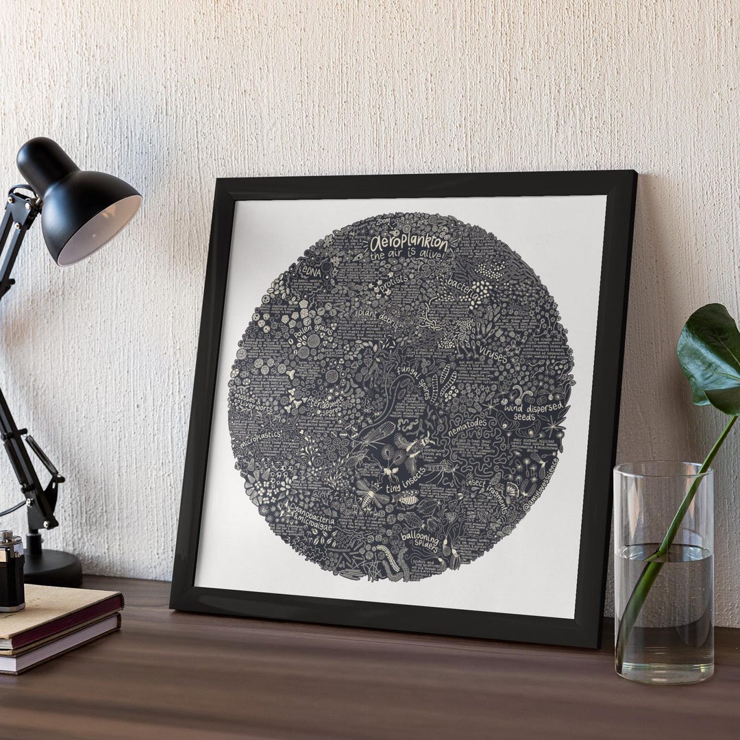 Aeroplankton Scientific Illustration | the Air is Alive | Science Art ...
