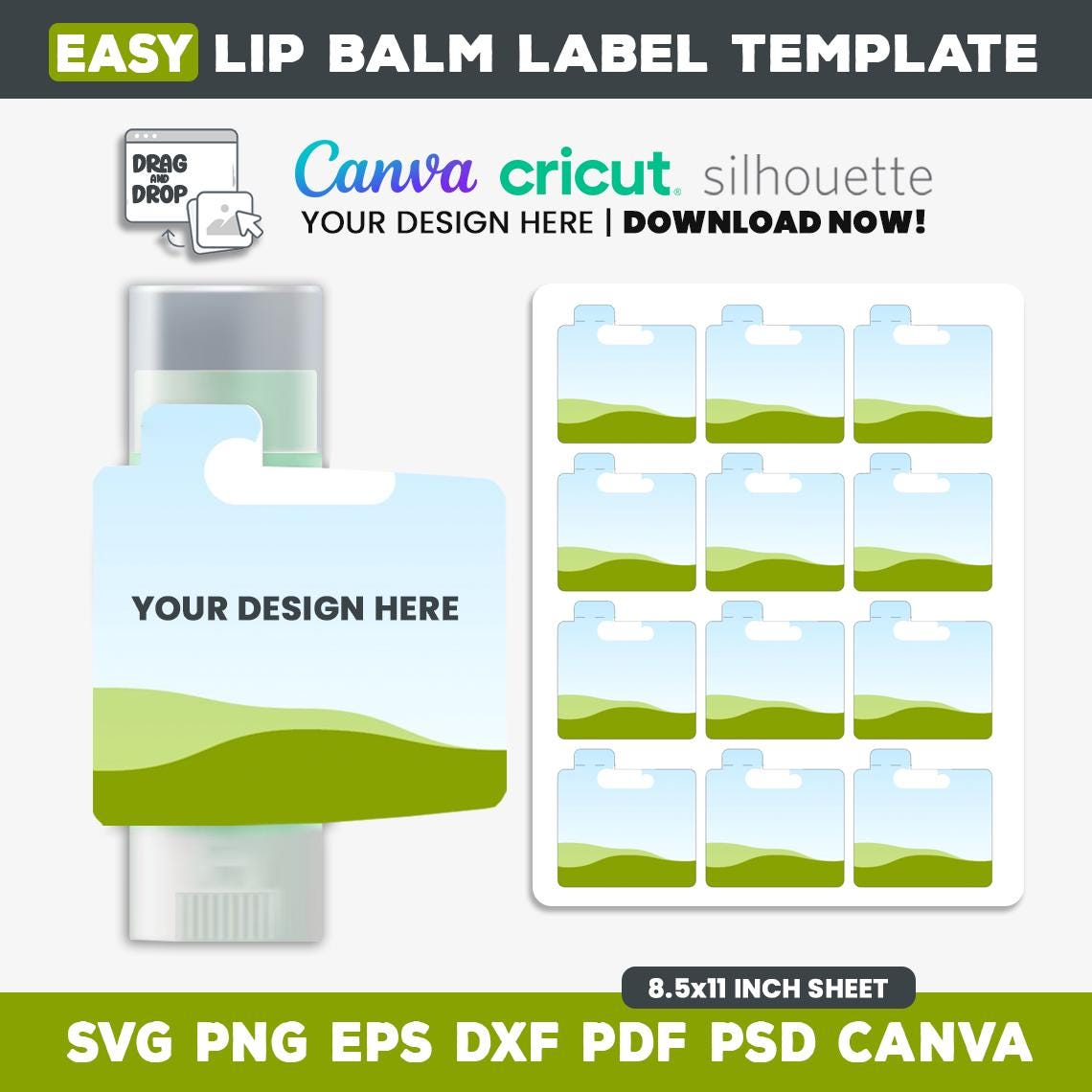 Lip Balm Labels Template, Chapstick Labels Template, Editable Canva ...