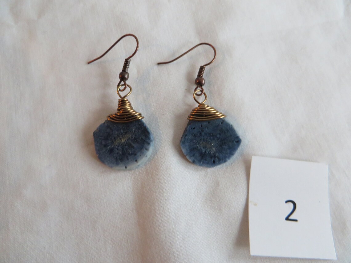Freeform Natural Blue Sponge Coral Earrings Wire Wrapped - Etsy UK