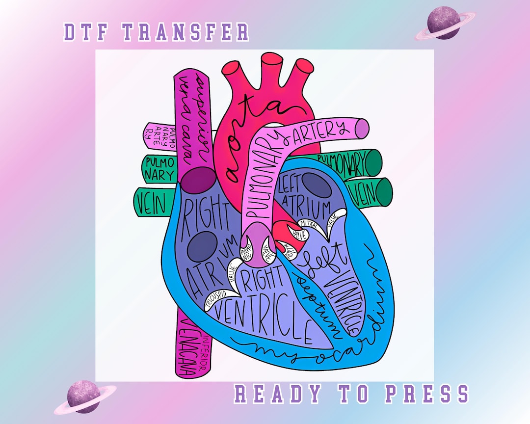 Heart Anatomy DTF Transfer, Cardiac Nursing Gift Ready to Press ...