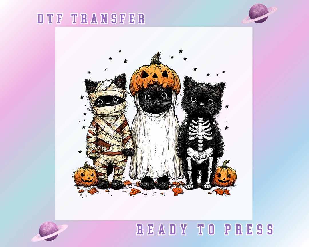 Halloween Black Cats in Mummy Ghost Skeleton Costumes Pumpkins Cute ...