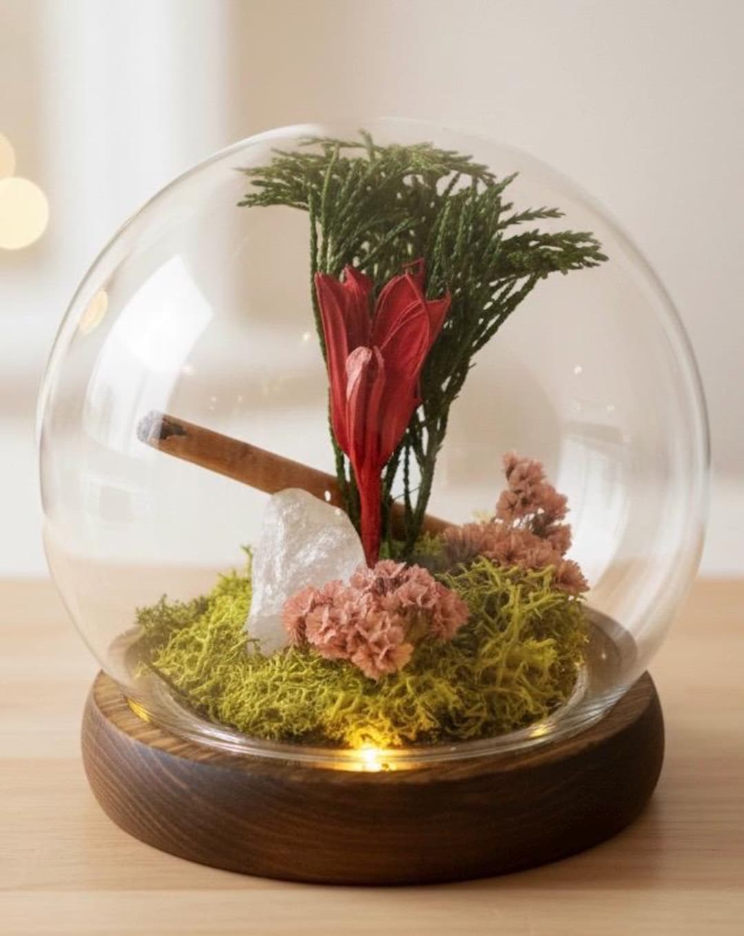 Enchanted Fairy Light Terrarium With Crystals - Etsy