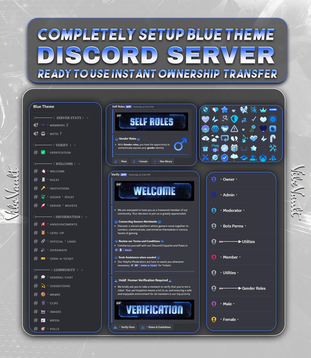 Blue Discord Server | Pre-made, Fully Setup (digital Download - Etsy