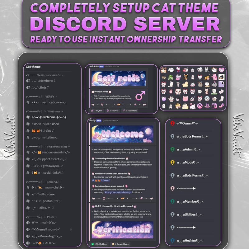 Cat Discord Banner - Etsy