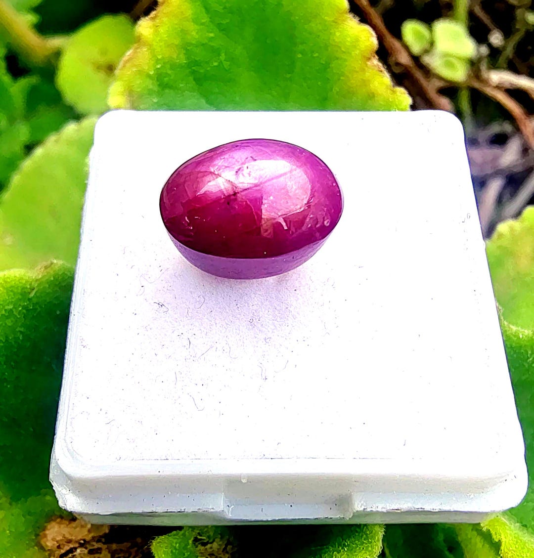 Natural Star Ruby 8.50 Carat 8 X 11 Mm Oval Cabochon | Rare 6-ray ...