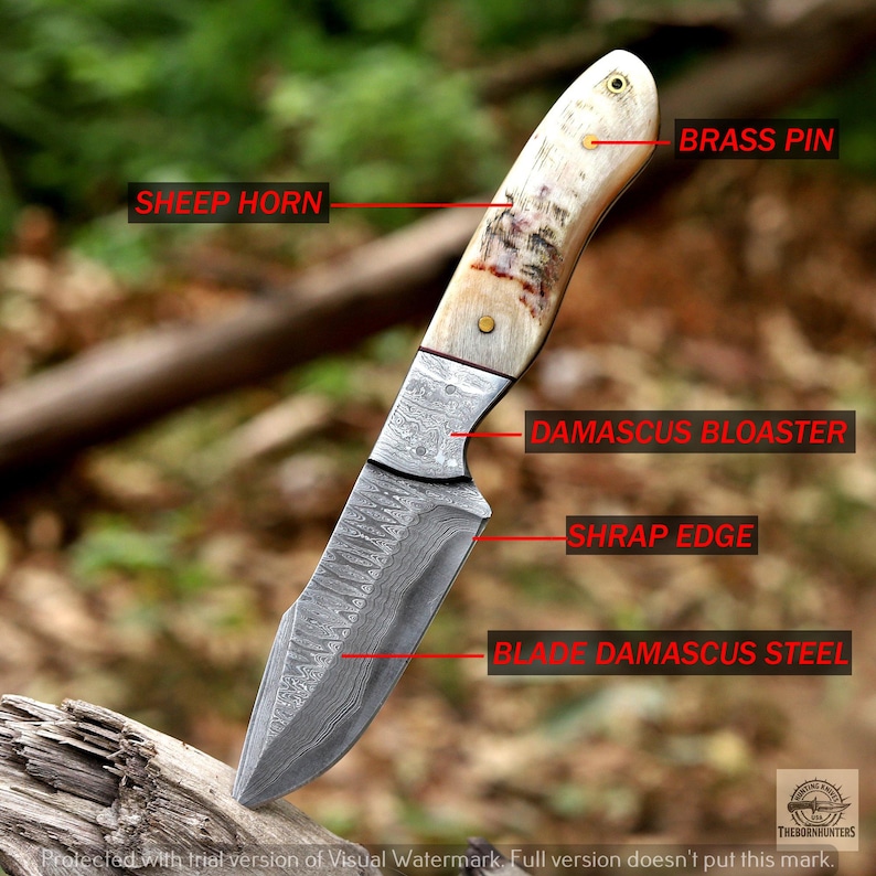 Handmade Damascus Skinning Knife Ram Horn Handle 9’’ Fixed Blade ...