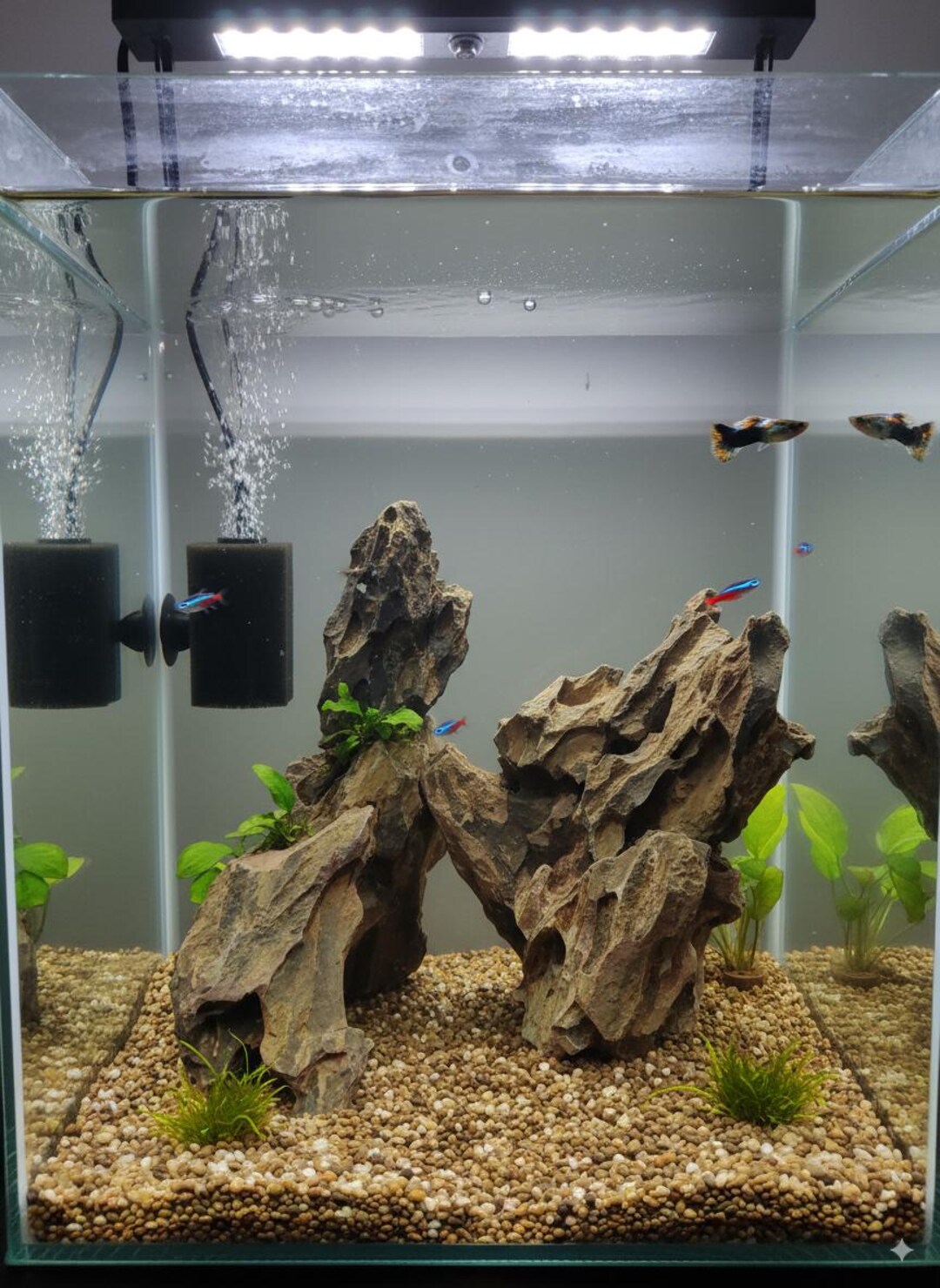 Aquarium Dragon Stone Decor | Aquascape Rocks | Style Stone Cave for ...