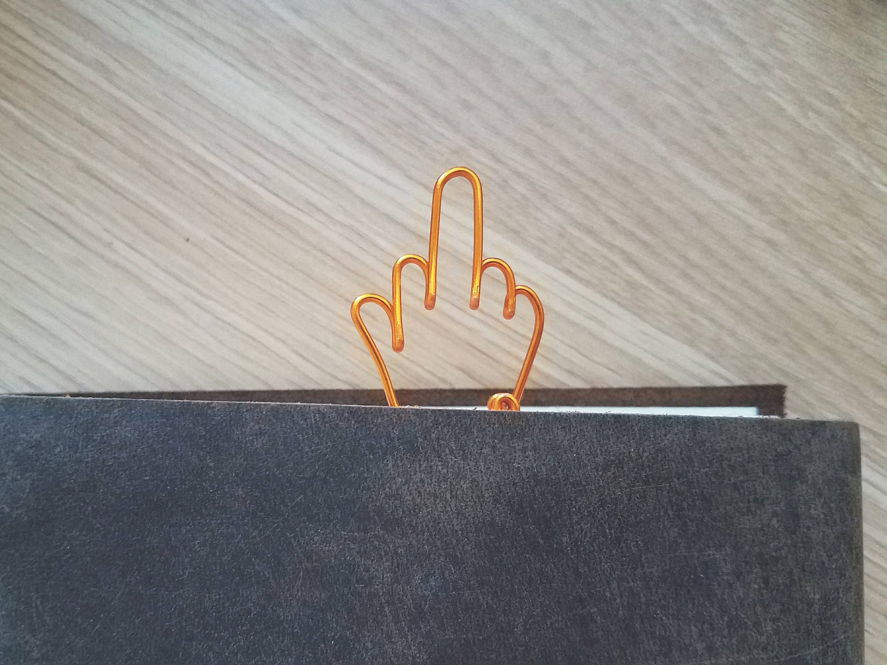 Wire Middle Finger Planner Clip Personalized Planner Marker | Etsy