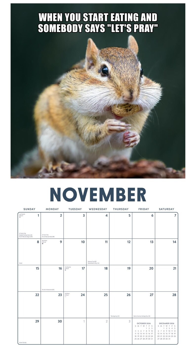 2026 That Meme Life Monthly Calendar - Etsy