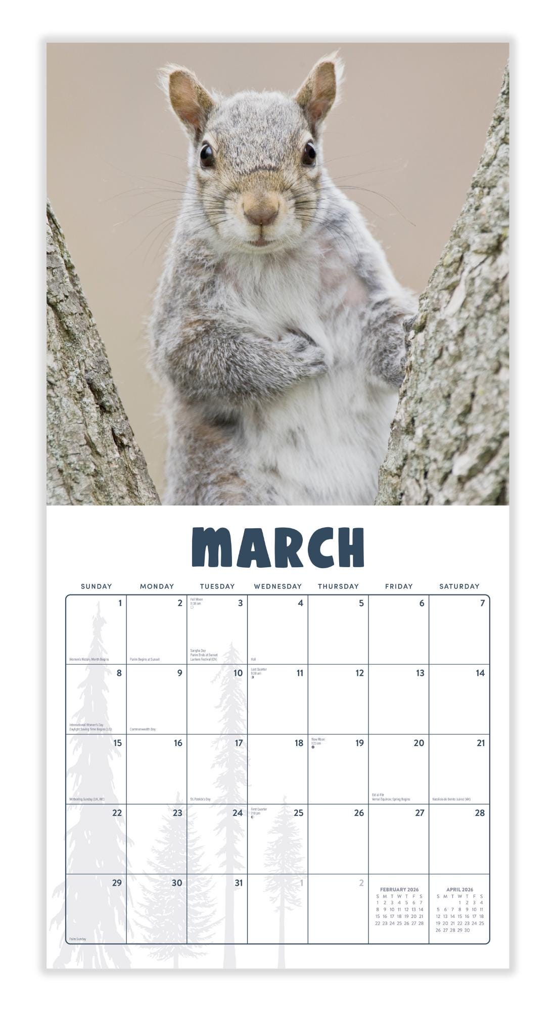 2026 Squirrels Monthly Calendar - Etsy