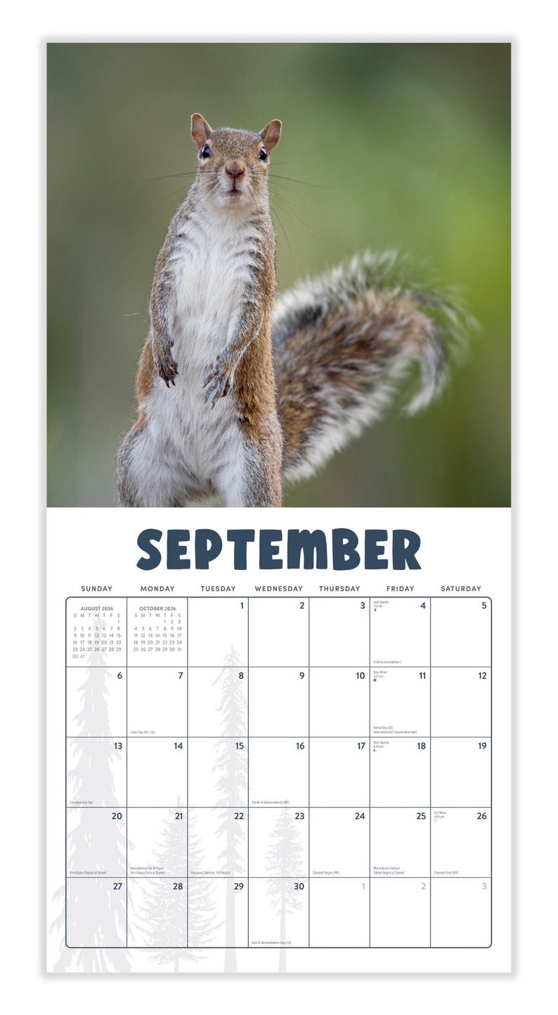 2026 Squirrels Monthly Calendar - Etsy