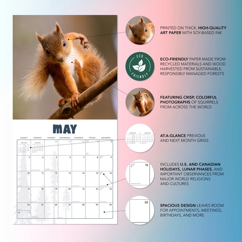 2026 Squirrels Monthly Calendar - Etsy