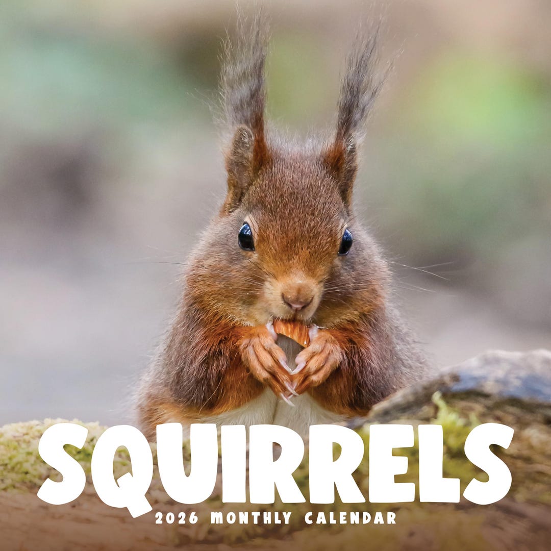 2026 Squirrels Monthly Calendar - Etsy