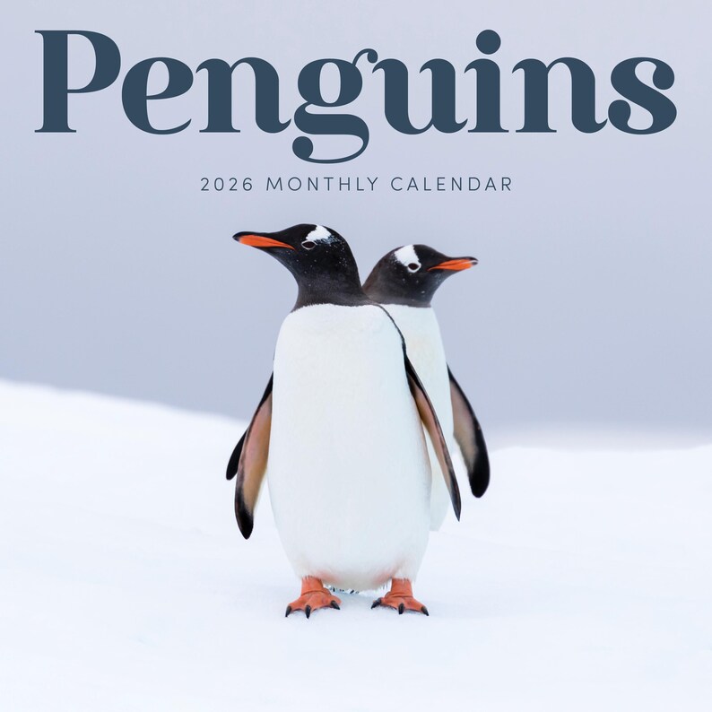 2026 Penguins Monthly Calendar - Etsy