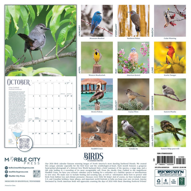 2026 Birds Monthly Calendar - Etsy UK