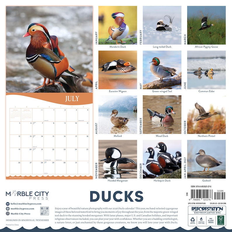 2026 Ducks Monthly Calendar - Etsy